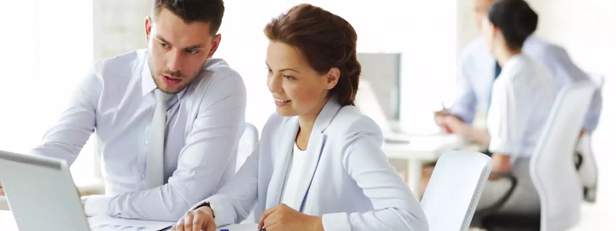 The Power of Accpac Optional Fields, an Accpac Training Session